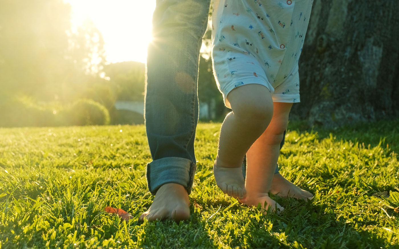 Jeunes enfants : des modes de garde en évolution | vie-publique.fr