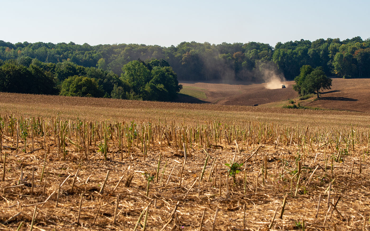 Changement climatique : d'importants surcoûts pour l'agriculture | vie ...