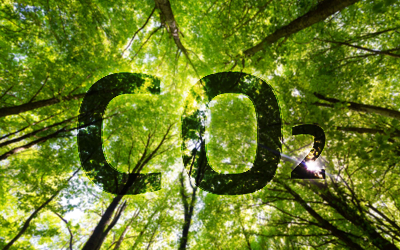 CO2 : le gouvernement doit "accélérer" la réduction des émissions | vie-publique.fr