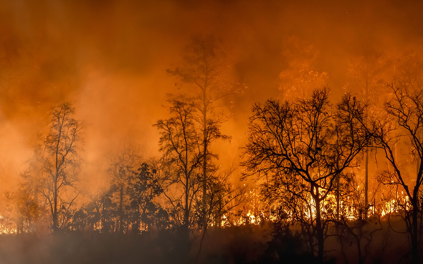 Réchauffement climatique : une gestion de crises dépassée ? | vie ...