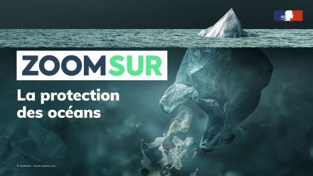Océans : comment mieux protéger les écosystèmes ? | vie-publique.fr