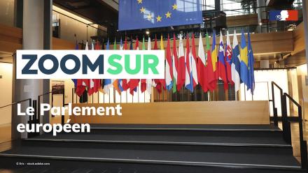 2024-2029 : le nouveau Parlement européen par Francisco Roa-Bastos | vie-publique.fr